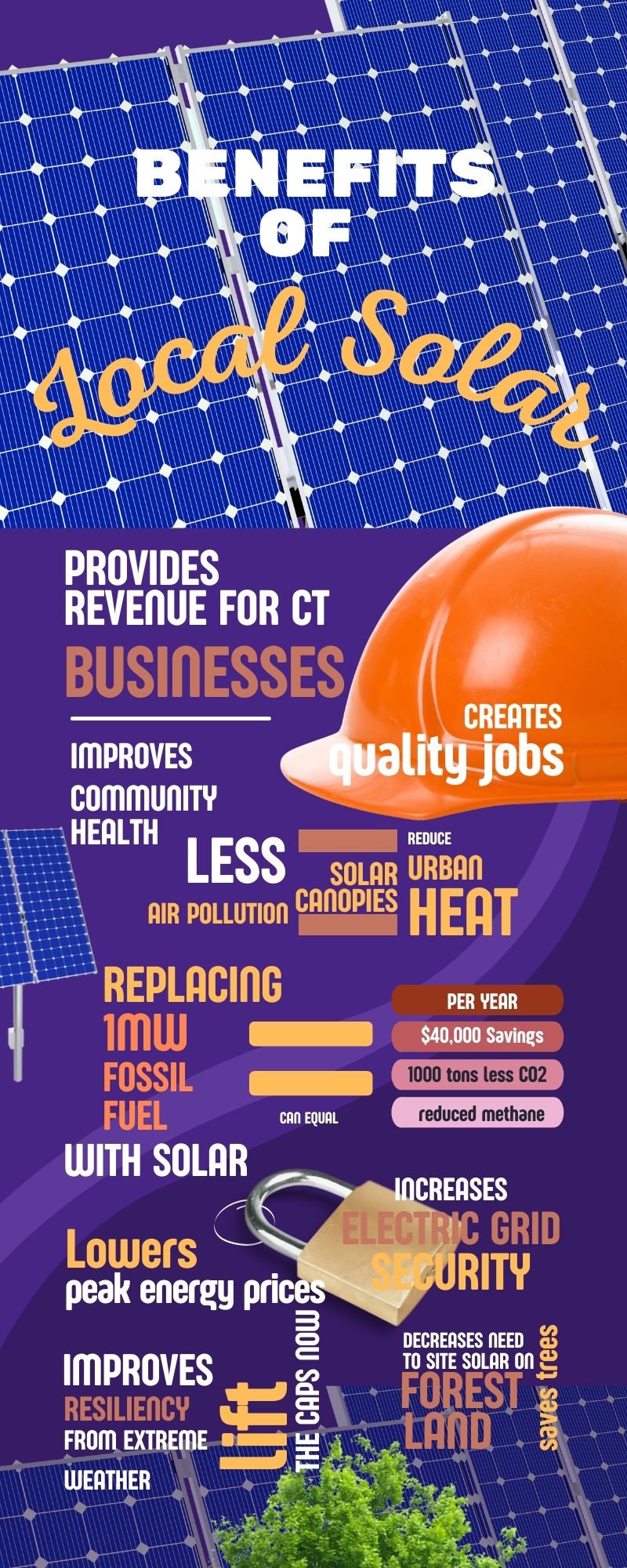 Why Local Solar? – Coalition for Sensible Solar Regulation